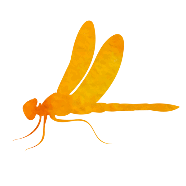 Soul Retrieval | Althea Gray